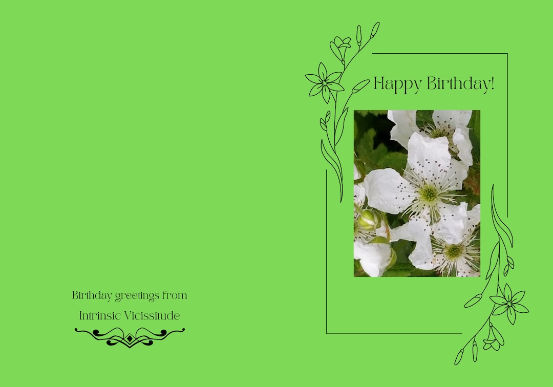 Digital Download Printable Bright Green Festive Birthday Card Blank ...