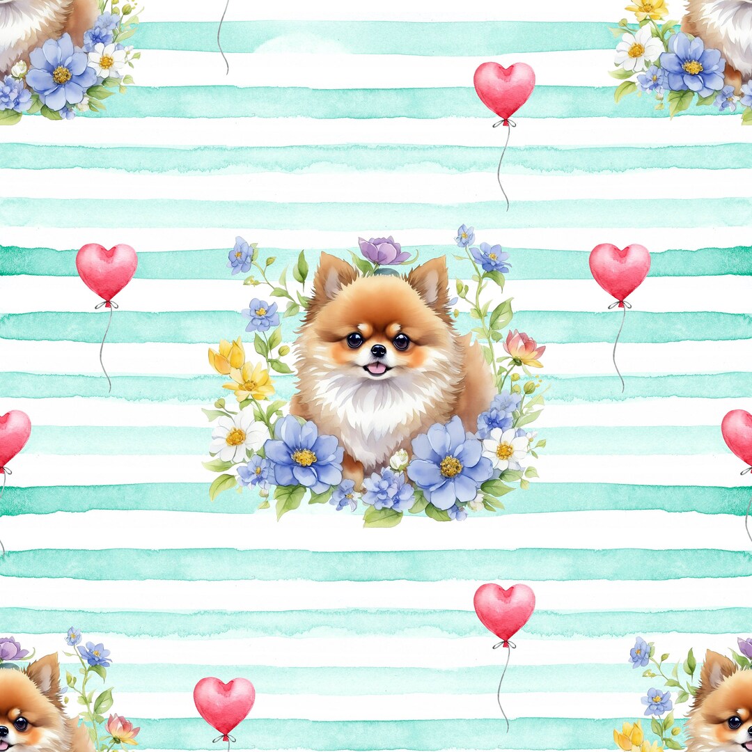 Pomeranian Hund Mini Spitz Boo Zwergspitz Oxford I Wasserabweisend I ...