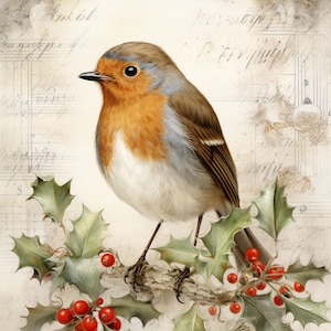 4 Lovely Victorian Christmas Robins - Digital Images - Etsy