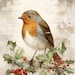4 Lovely Victorian Christmas Robins - Digital Images - Etsy