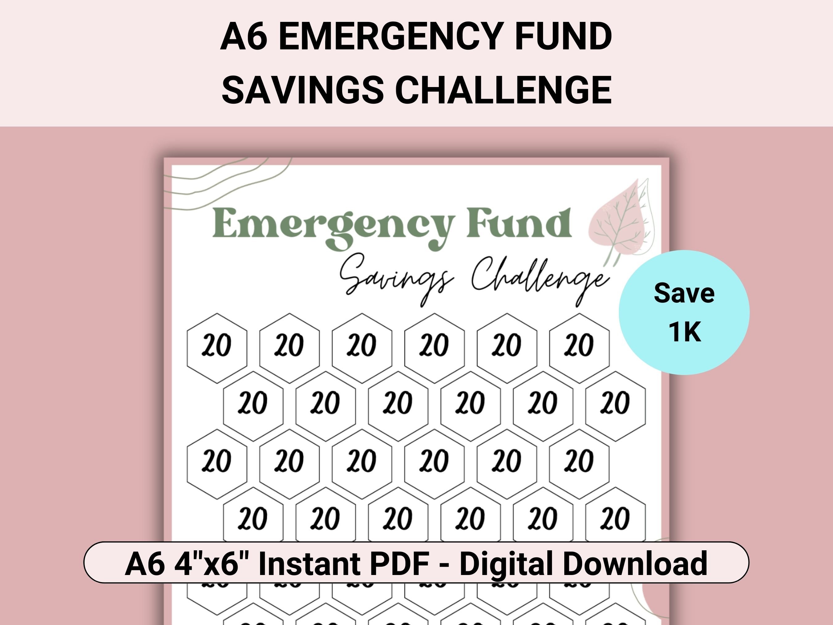 1K Low Income Emergency Fund Savings Challenge Printable, Monthly Money ...