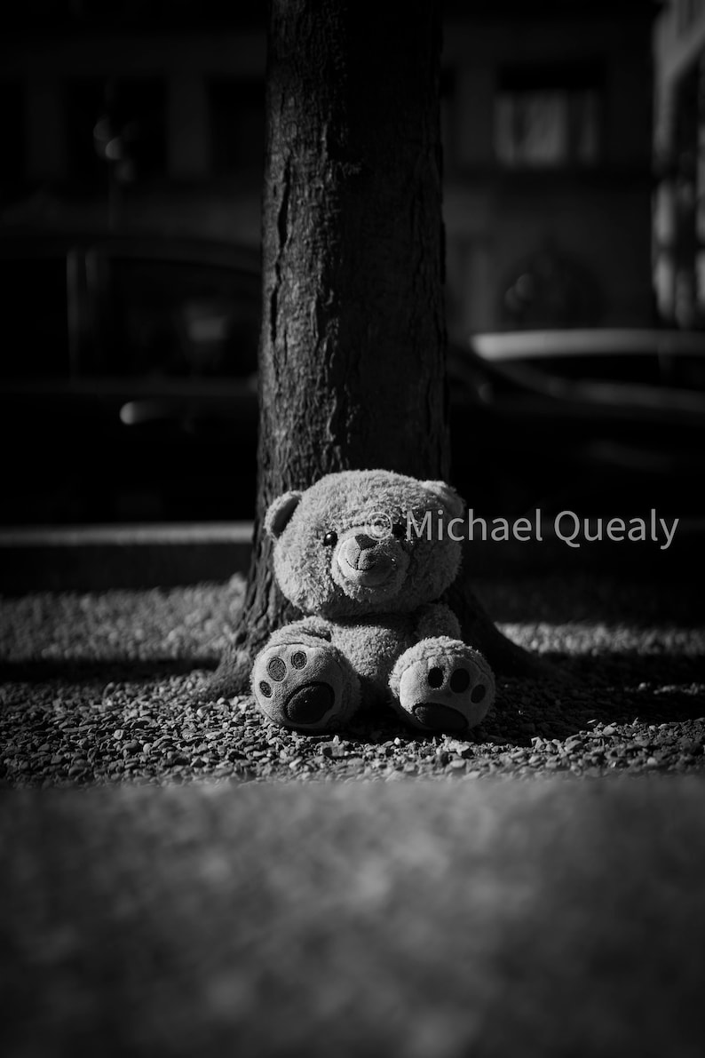 Lost Teddy Bear - Black and White Teddy Photography, High-resolution ...