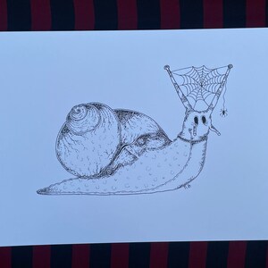 Spooky Snail and Spider Hand Drawn Art Print - Etsy