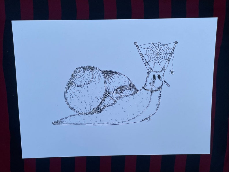 Spooky Snail and Spider Hand Drawn Art Print - Etsy
