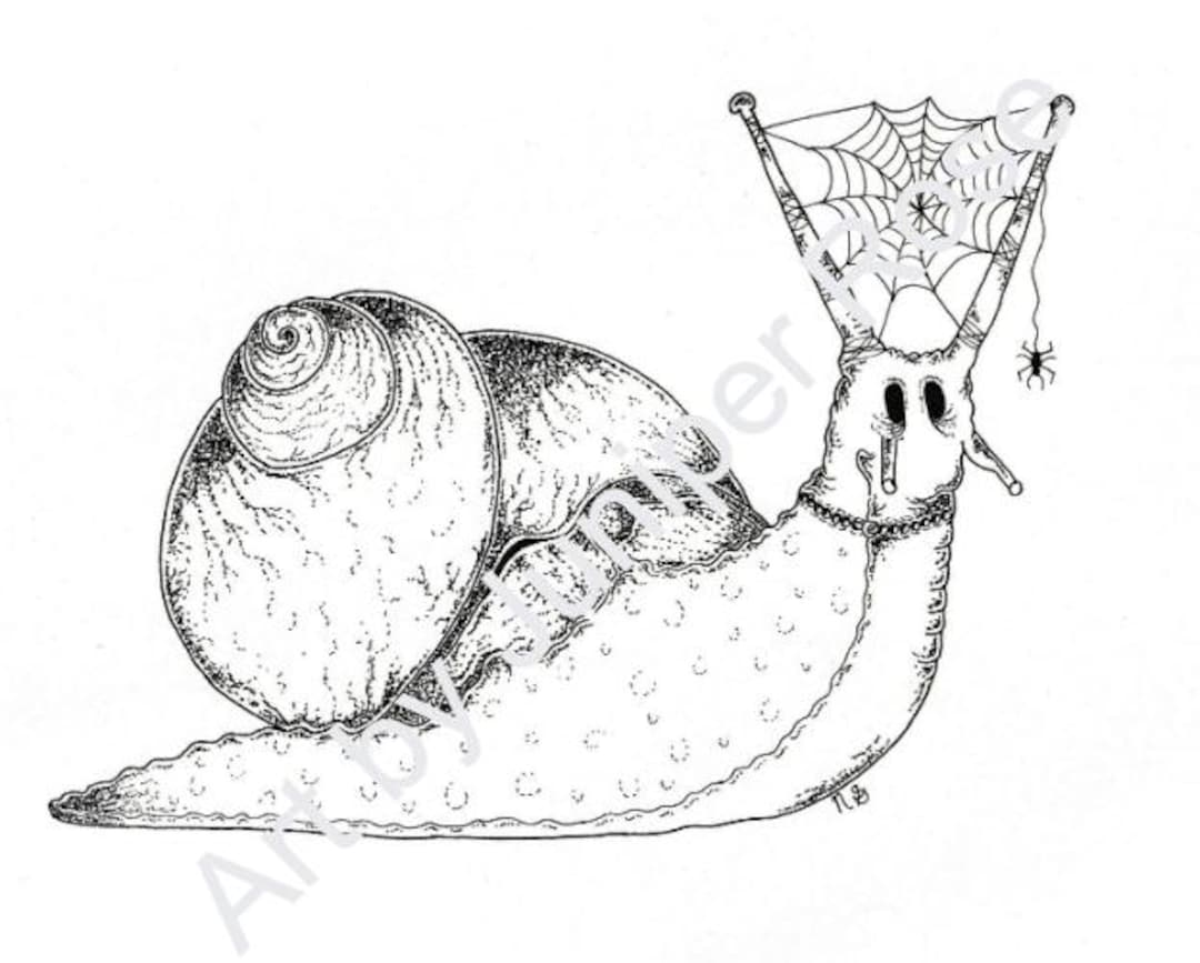 Spooky Snail and Spider Hand Drawn Art Print - Etsy