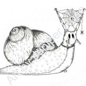 Spooky Snail and Spider Hand Drawn Art Print - Etsy