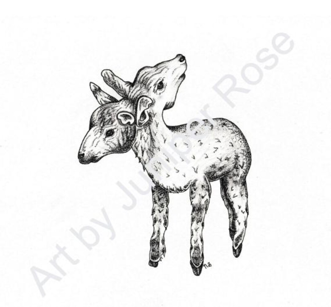 Gothic Two-headed Lamb Art Print - Etsy