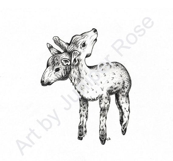 Gothic Two-headed Lamb Art Print - Etsy