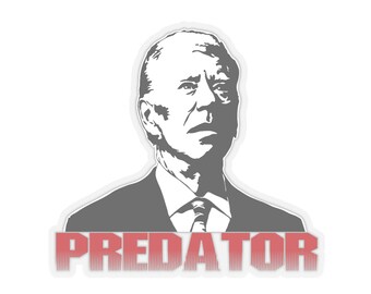 Predator 2x Side Decals 4x4 ATV Fits Polaris Decals / Sticker Kit - Etsy