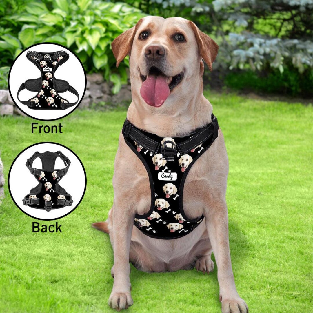 Personalized Dog Harness: Custom Photo & Name Reflective Pet Vest - Etsy