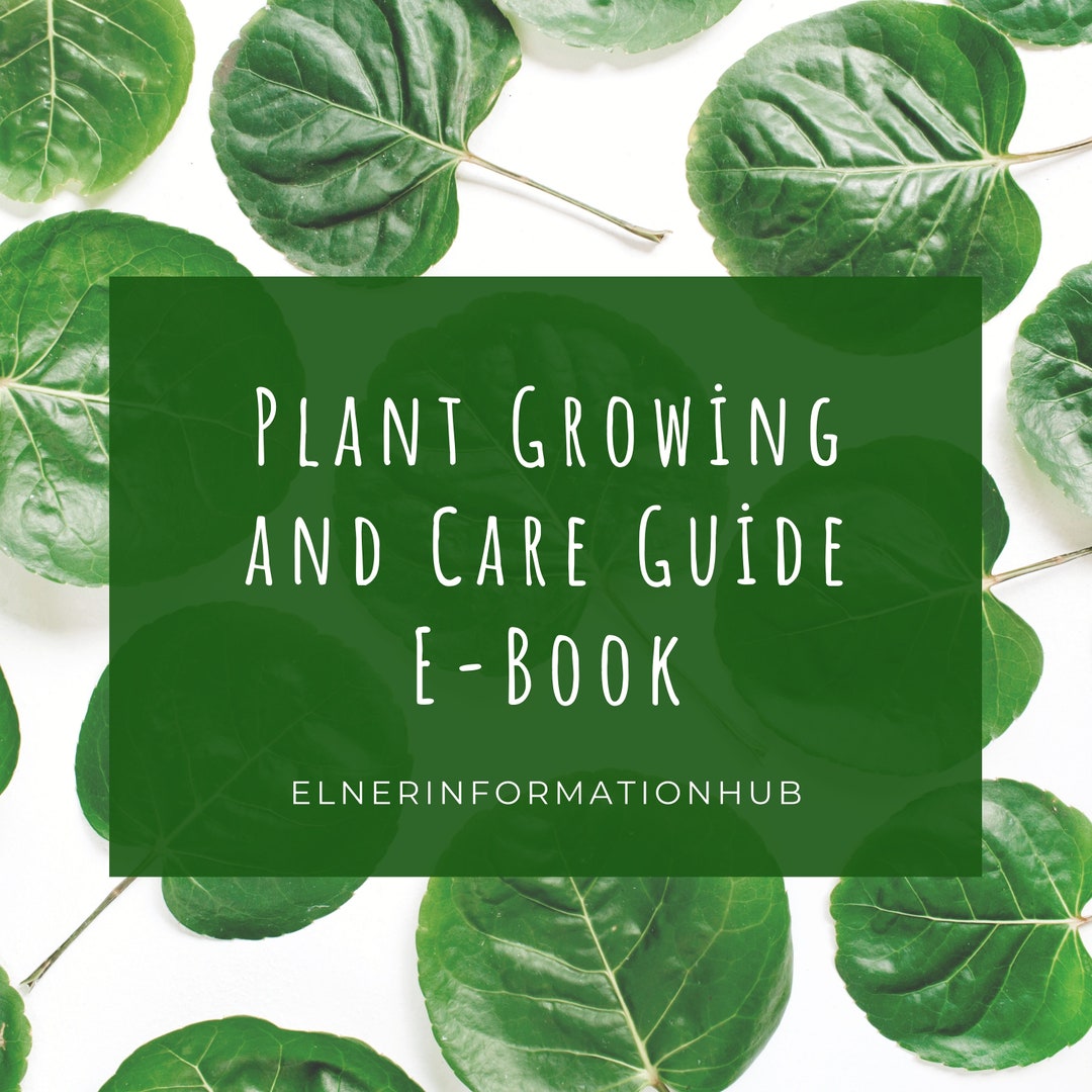 Plant Growing and Care Guide Plant Plant Care Secret Tips for Growing ...