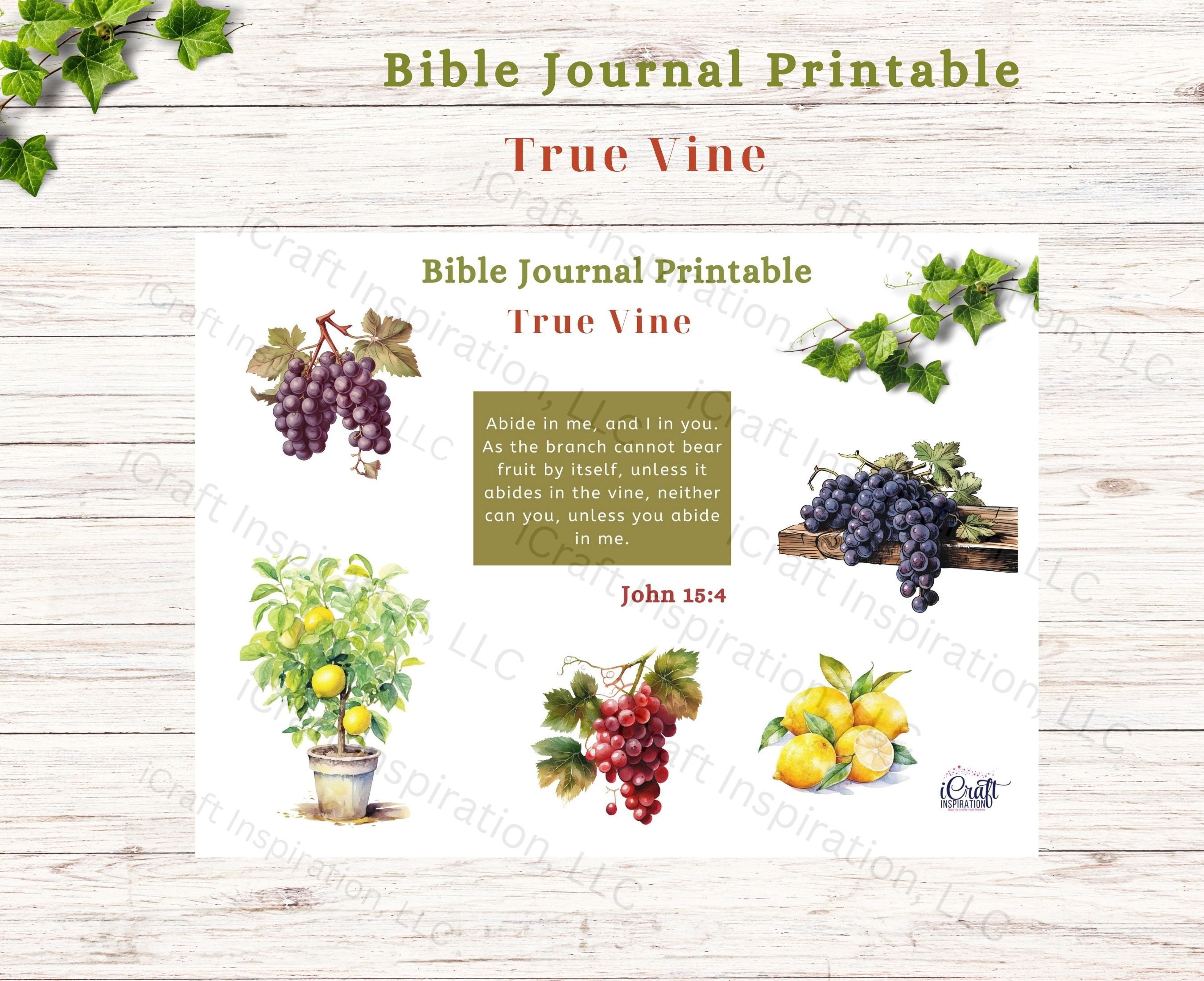 Bible Journal Printable. True Vine Printable. Journal/planner Printable ...