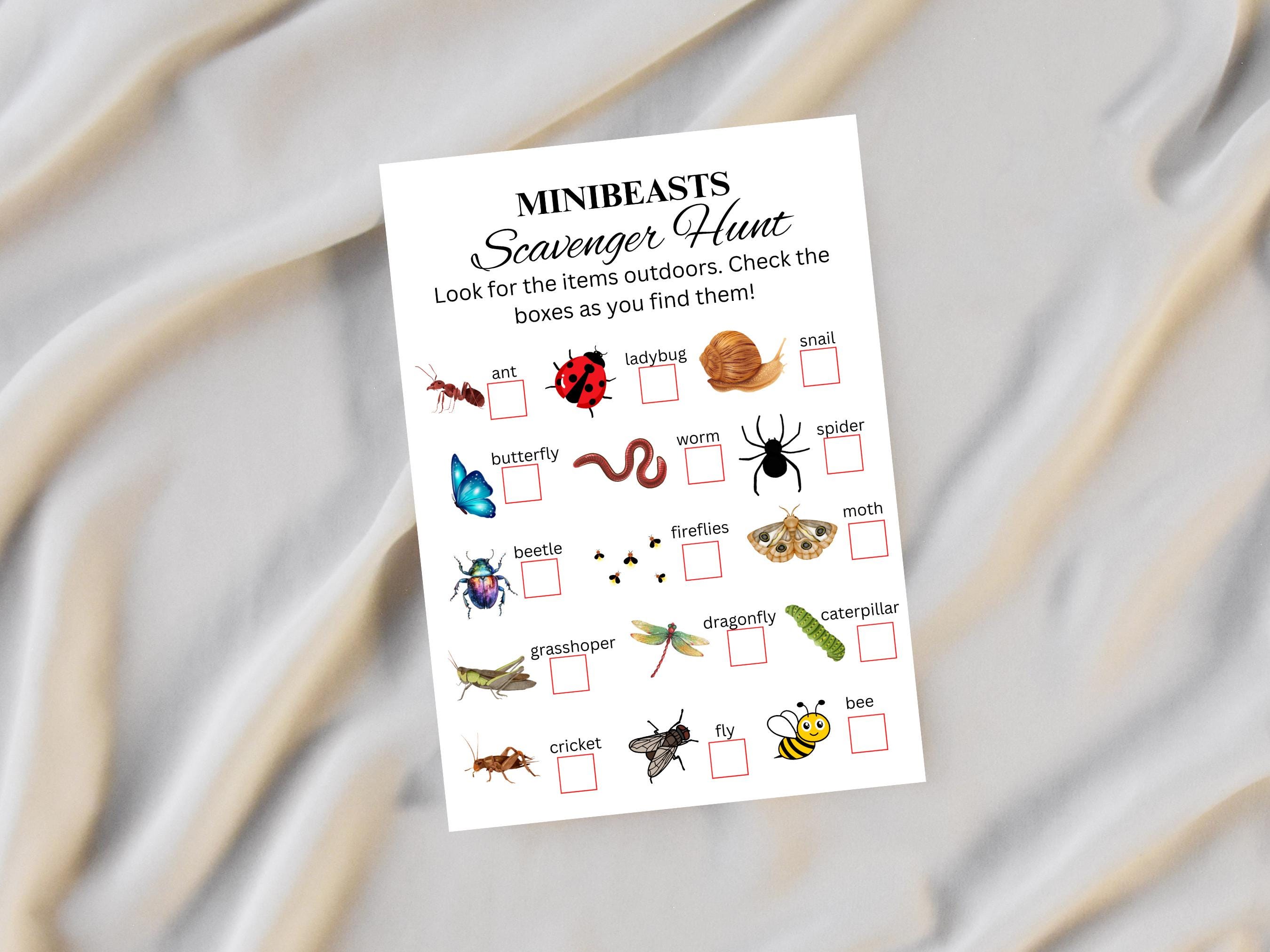 Minibeasts Scavenger Hunt, Outdoor Beast Search Activity, Kids Birthday ...