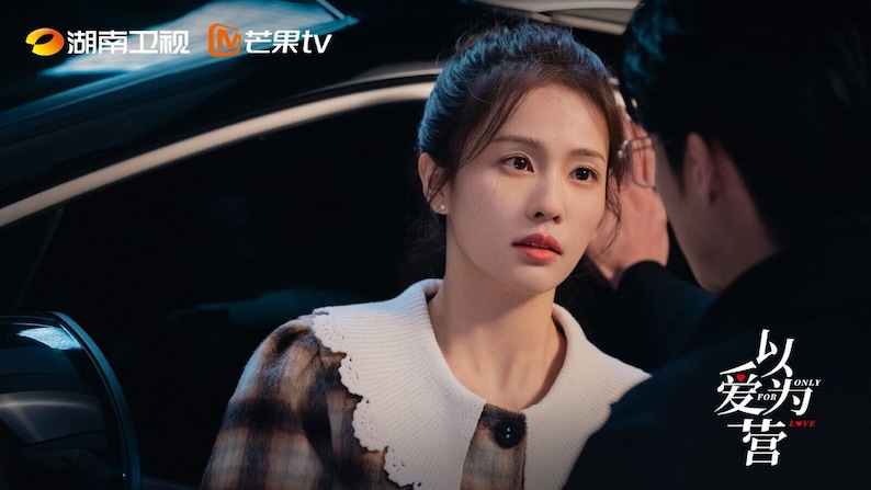 DVD Chinese Drama Only for Love Vol.1-36 End Special 2023 / 以爱为营 English Subtitle & All Region ...