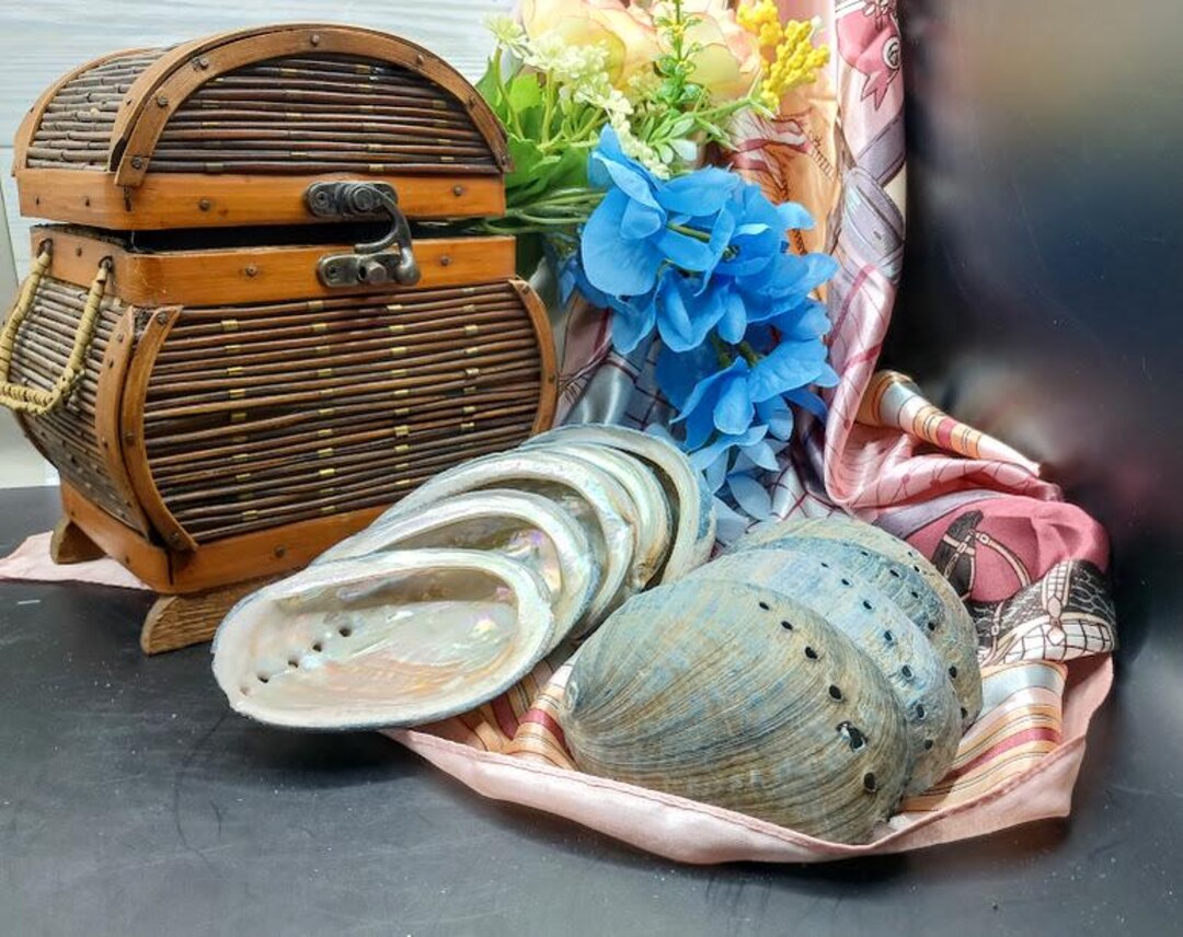 Abalone Shell for Witchcraft; Two Sizes; Smudge; Smoke Cleanse; Healing ...