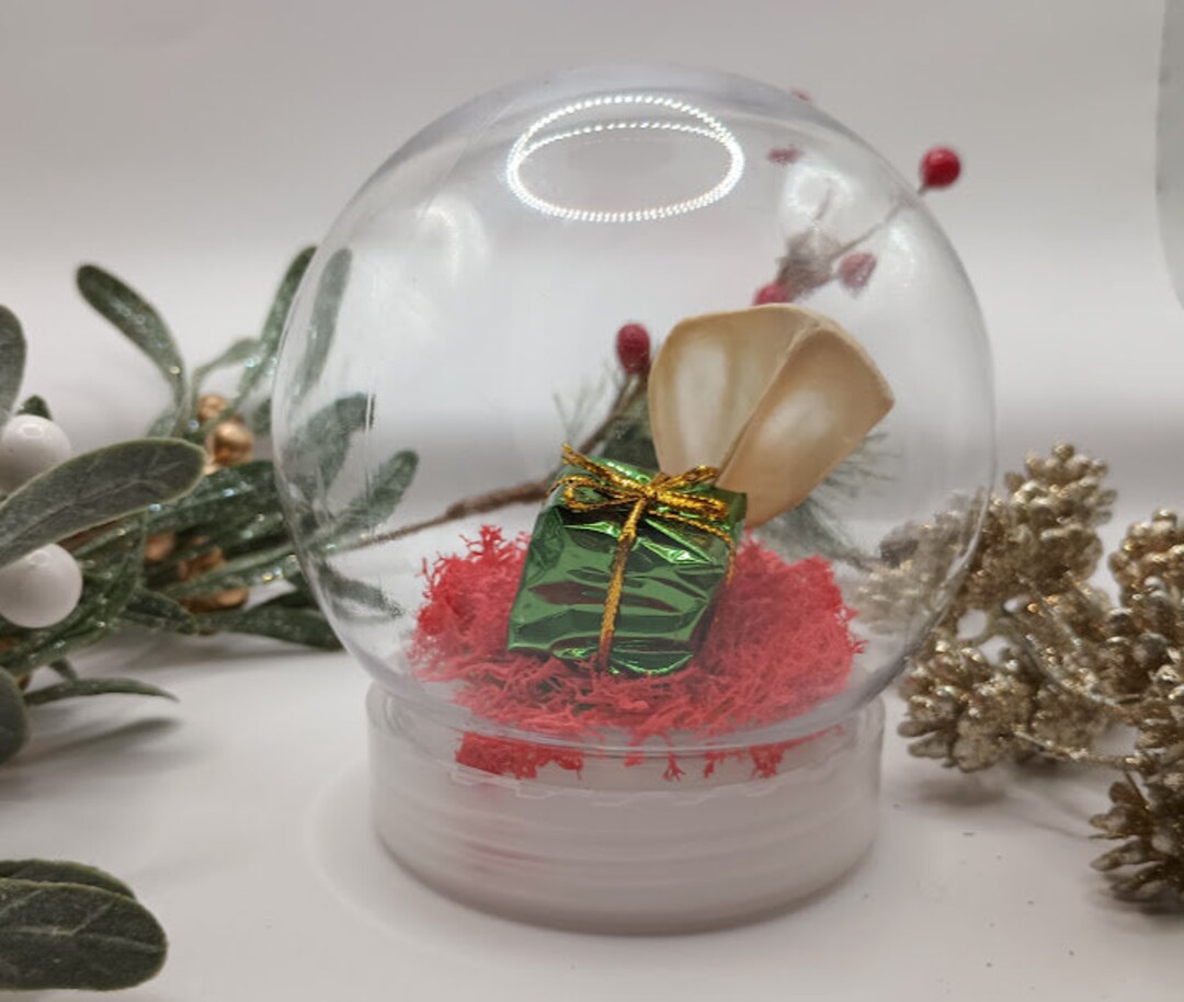 Standing Screw-bottom Dome With a Real Scapula, Animal Shoulder Bone ...