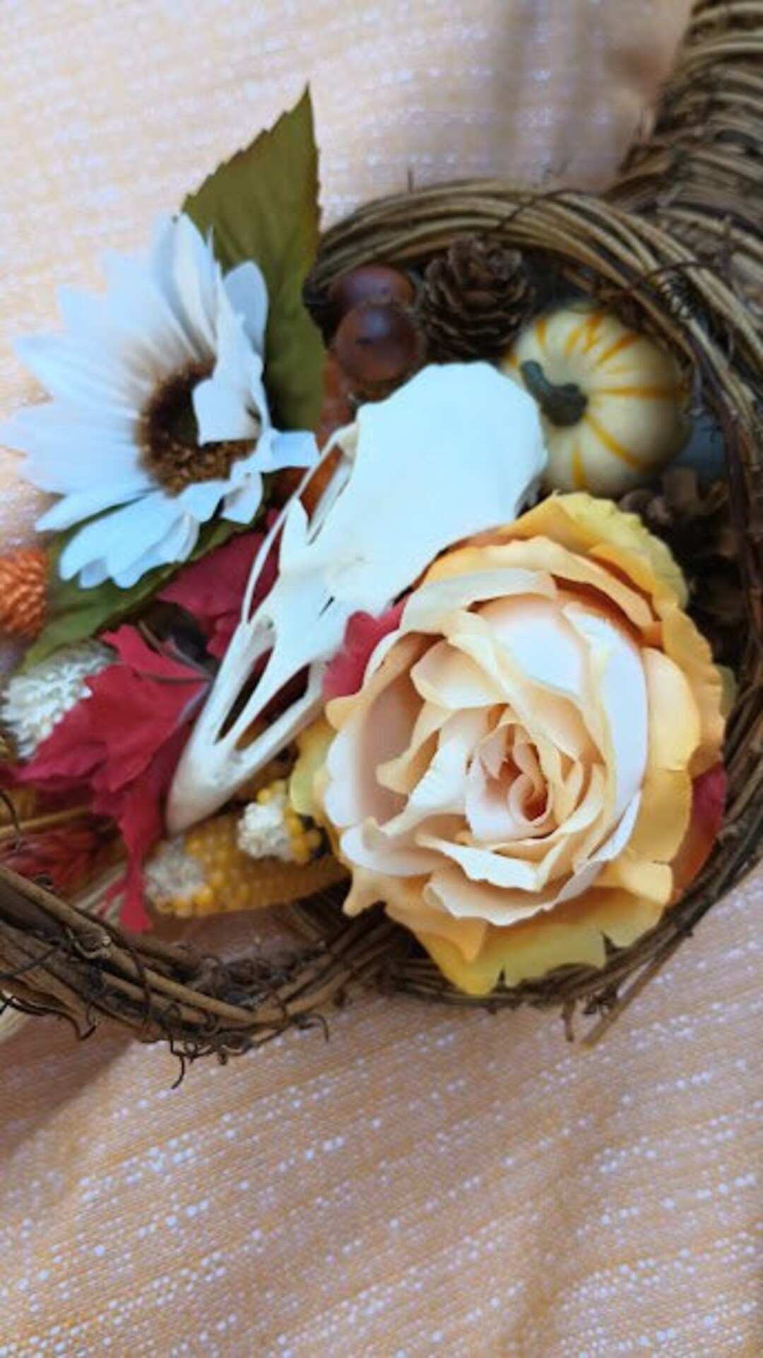 Turkey Skull in Hanging Cornucopia Basket; Autumn; Fall; Colors; Orange ...