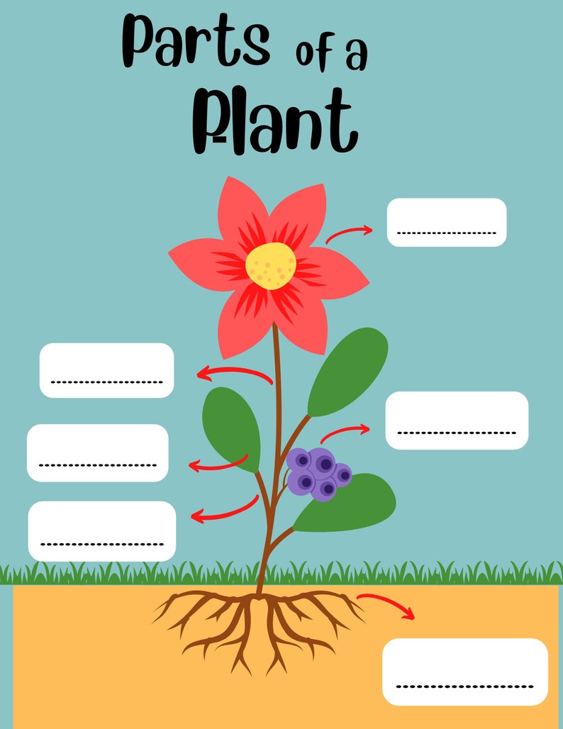 Labeling Plants - Etsy