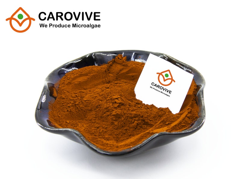 HETCHYN Carovive Dunaliella Salina Powder 3% Beta Carotene - Rich in ...