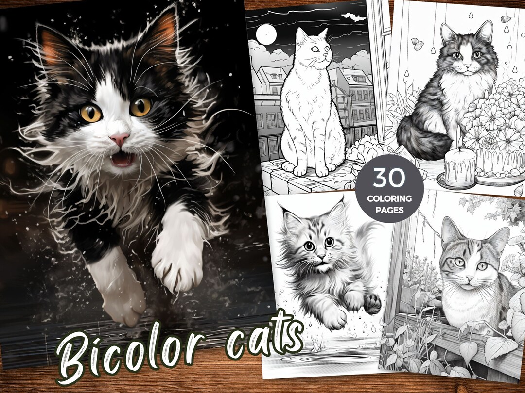 Bicolor Cats Coloring Book Adorable Feline Companions Coloring Pages ...