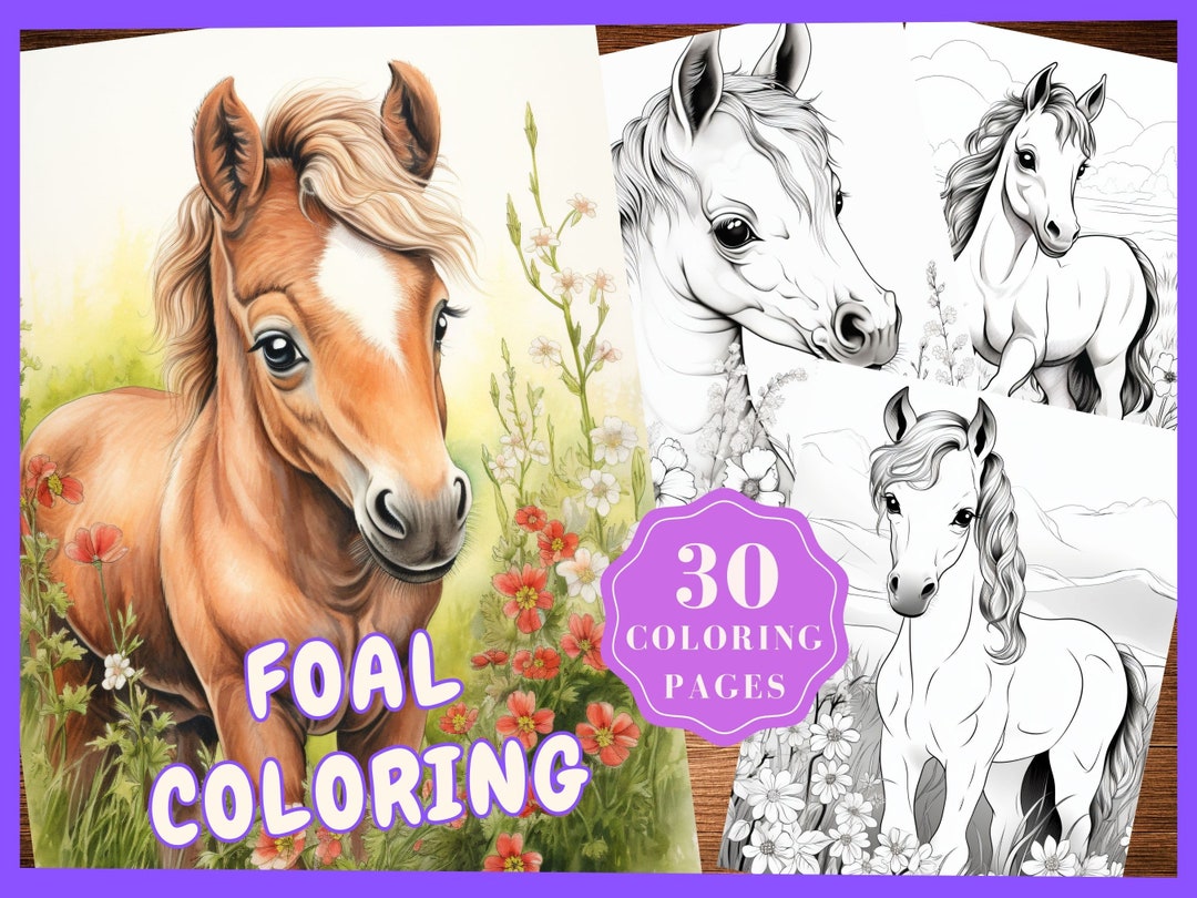 Foal Coloring Pages of Horse for Adult Coloring Book, Printable Horse ...