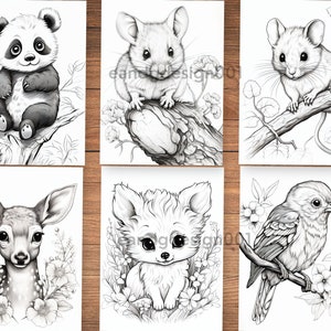 Forest Critters Coloring Page Woodland Animal Colouring Book for Adults ...
