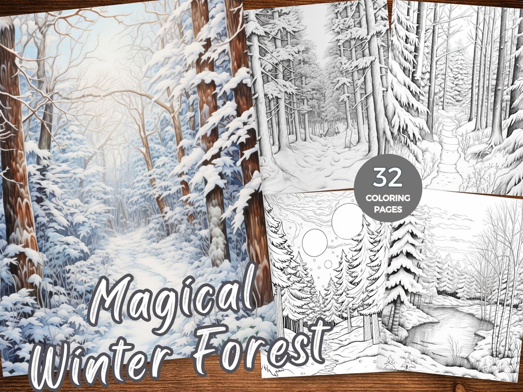 Magical Winter Forest Coloring Pages Forest Coloring Book for Adults ...