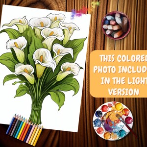 Calla Lily Coloring Pages for Adults Instant Download Coloring Sheets ...