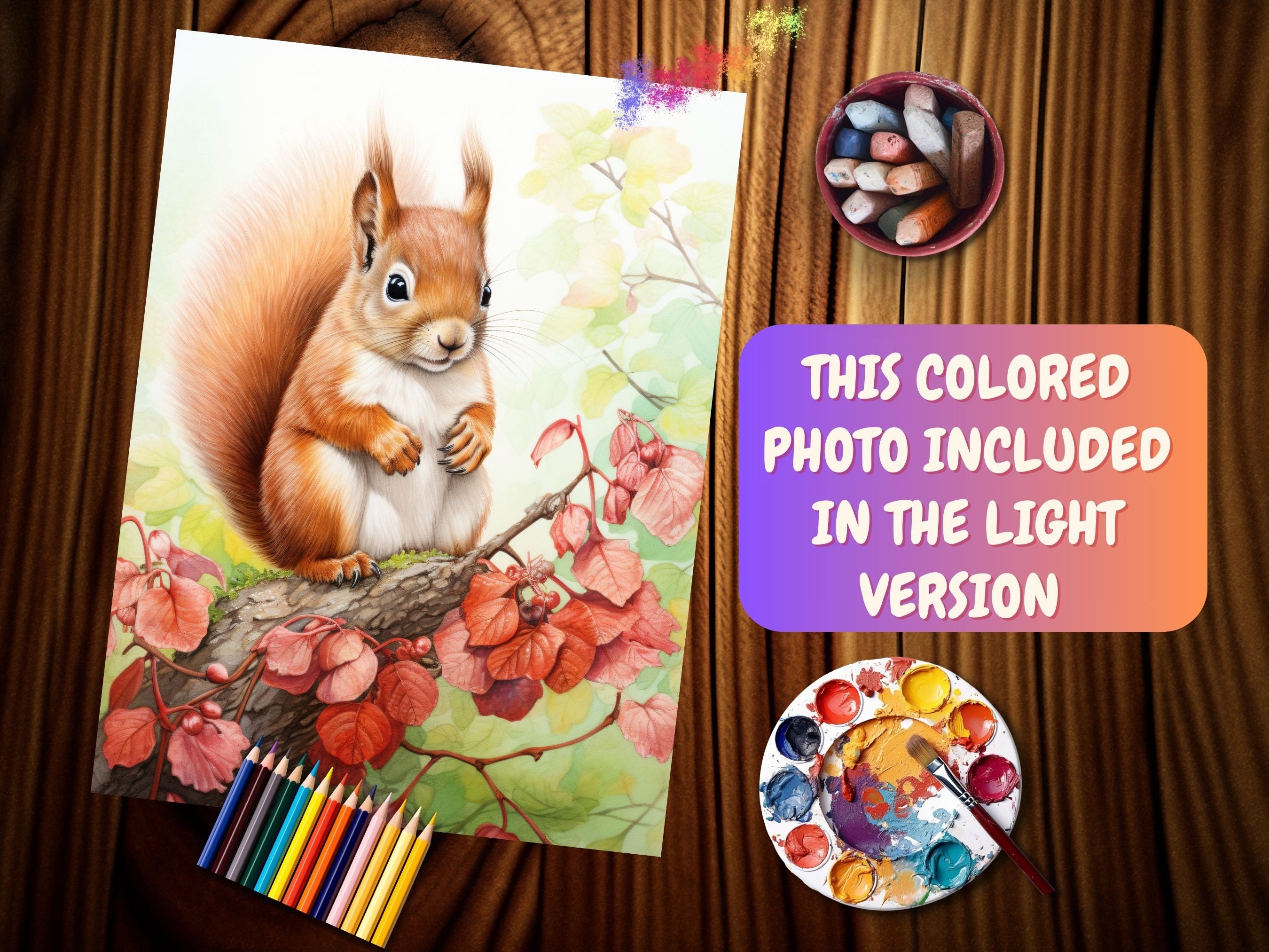 Squirrel Coloring Pages Printable Cute Squirrel Coloring Page Squirrel ...