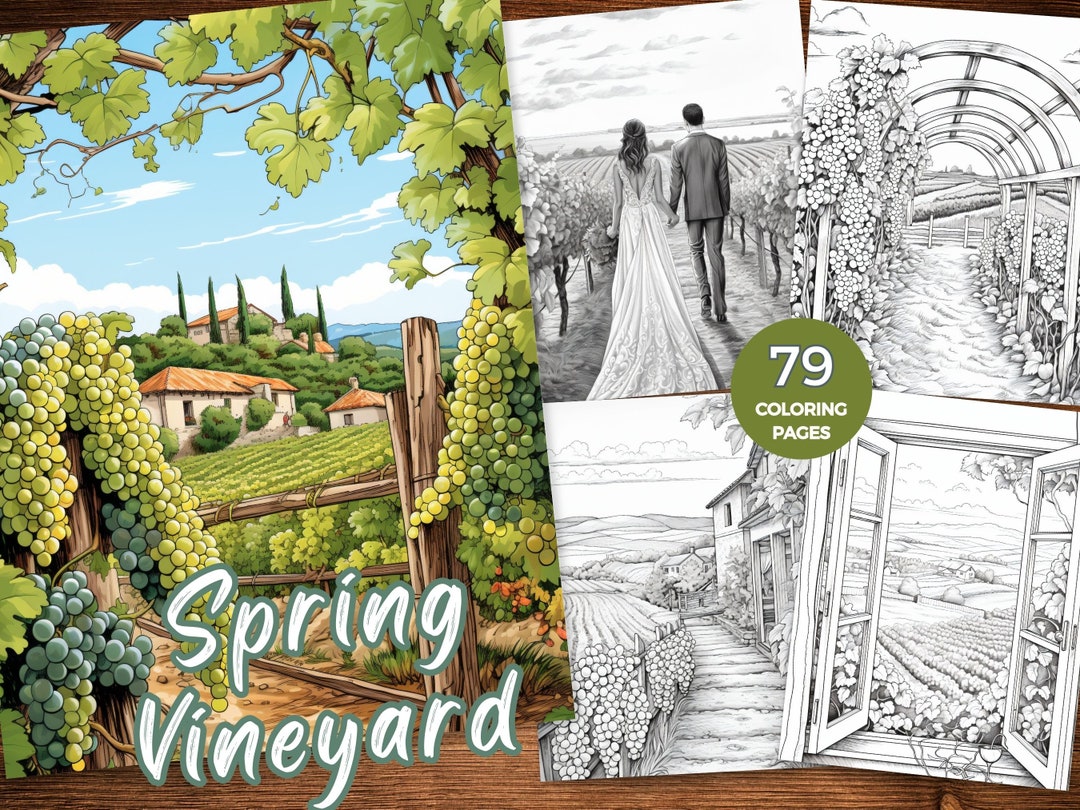 Spring Vineyard Coloring Page for Adults Minimalist Coloring Vineyard ...