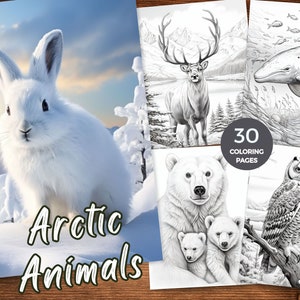 Printable Arctic Animals Coloring Pages Arctic Animals Coloring Sheets ...