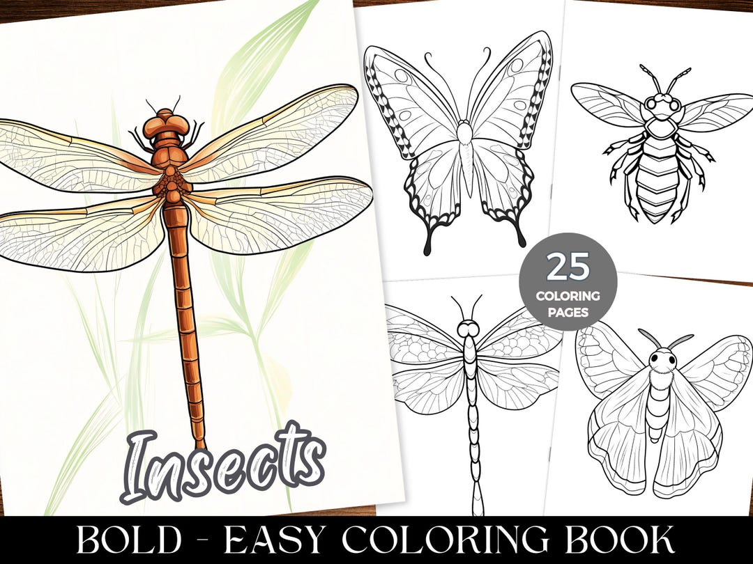 Insect and Bugs Coloring Sheets, Nature Coloring Pages, Insect Coloring ...