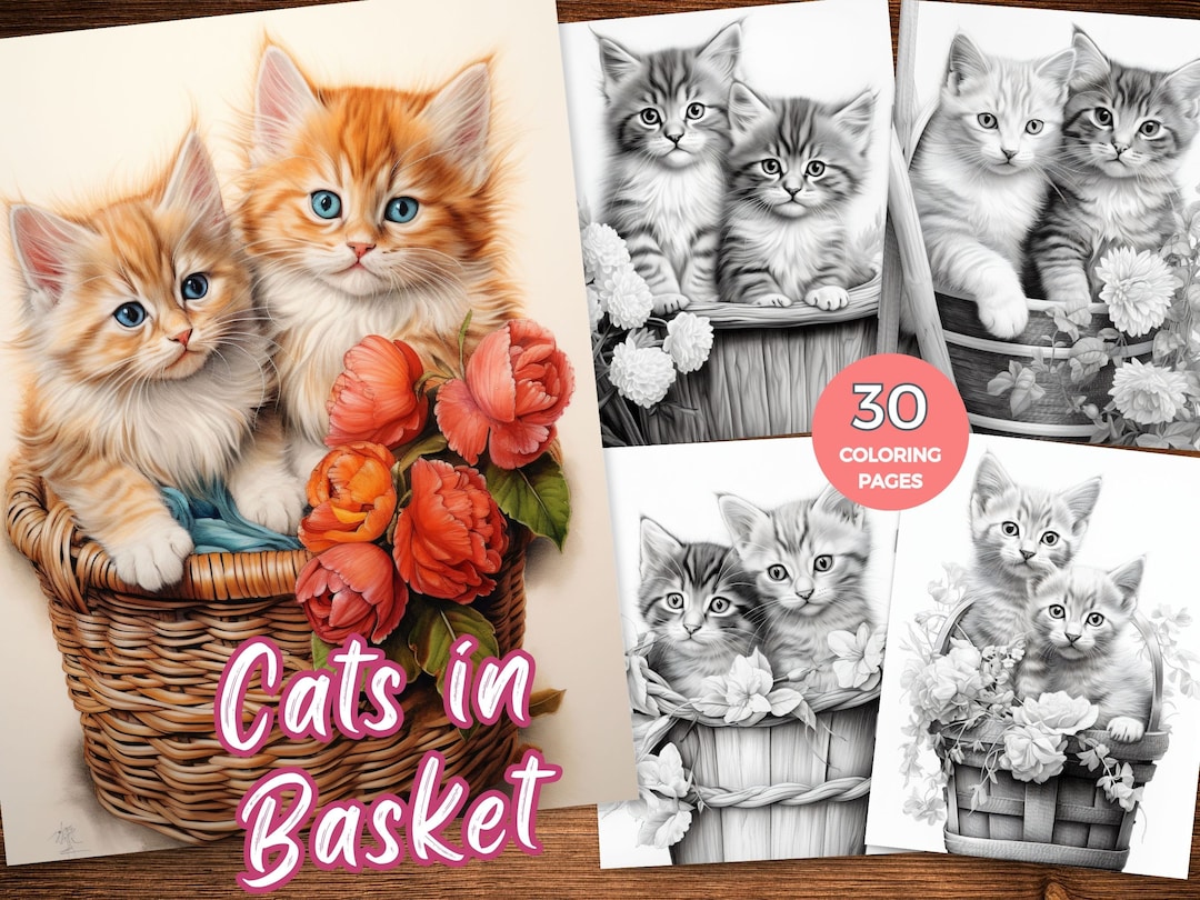 Cats in Baskets Coloring Pages Kittens Coloring Sheets Printable ...