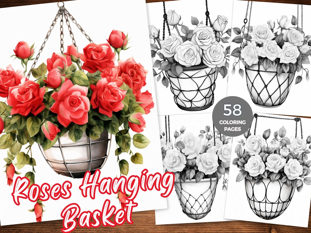Roses Hanging Basket Coloring Book Hanging Plant Greyscale Coloring ...