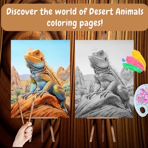 Desert Animals Coloring Pages Arizona Desert Animals Coloring Picture ...