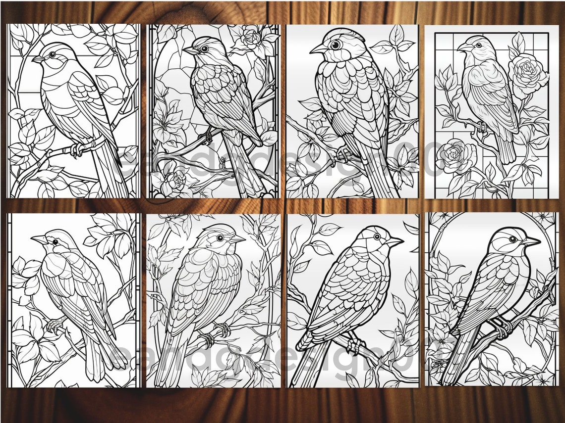 Stained Glass Birds Coloring Pages for Adults Printable - Etsy