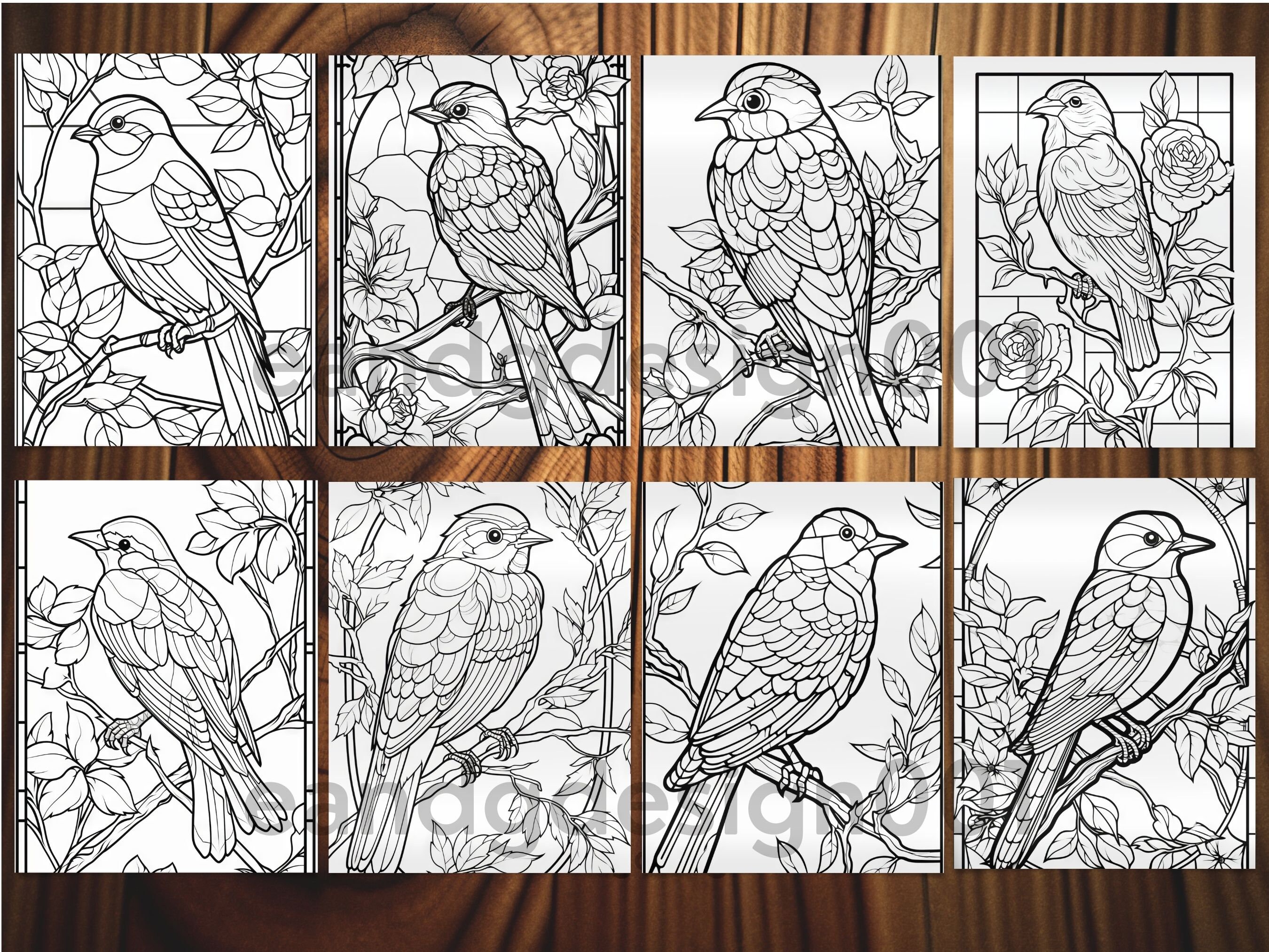 Stained Glass Birds Coloring Pages for Adults Printable - Etsy