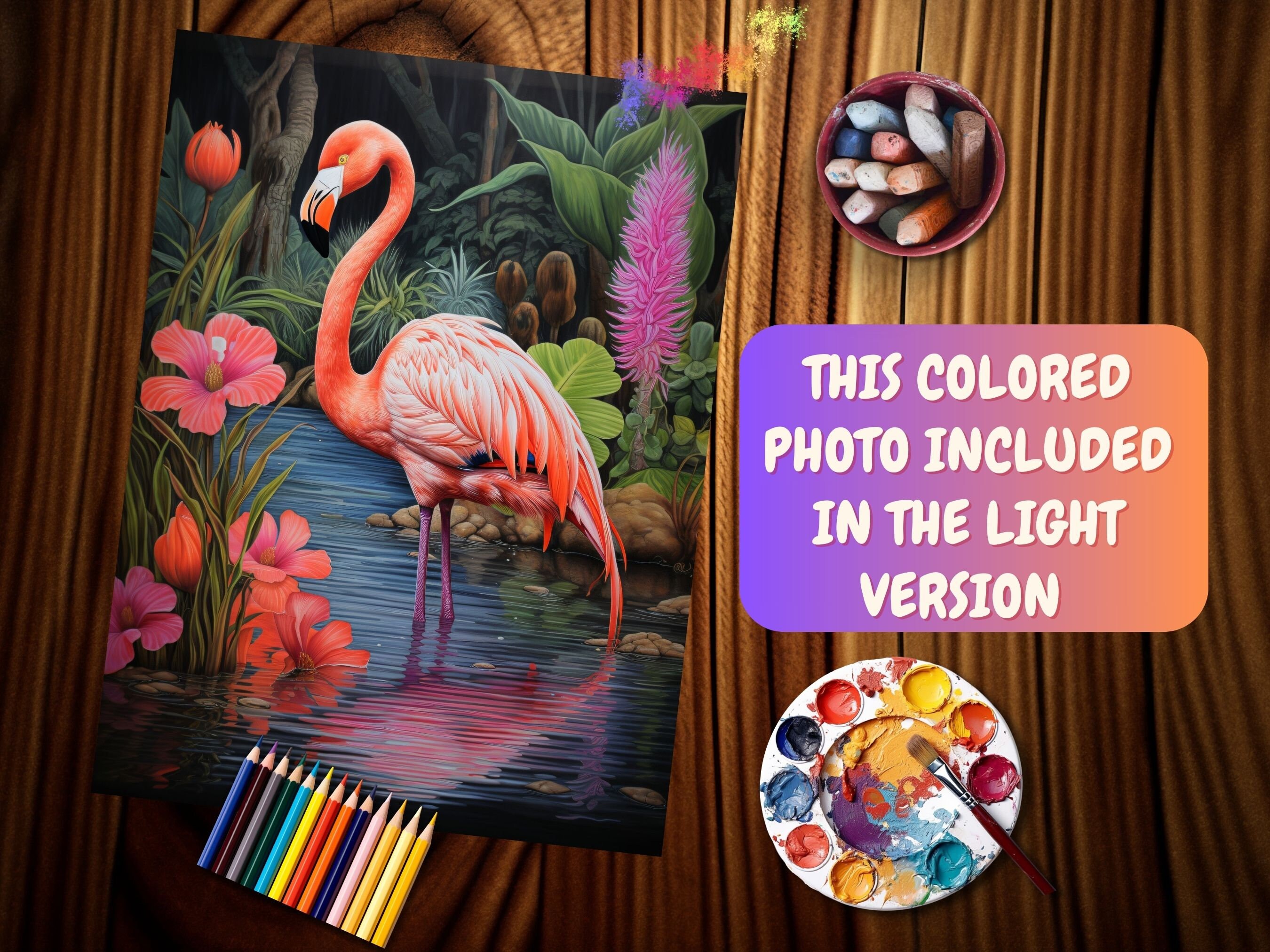 Flamingo Oasis Coloring Pages Tropical Birds Coloring Sheet Feathers of ...