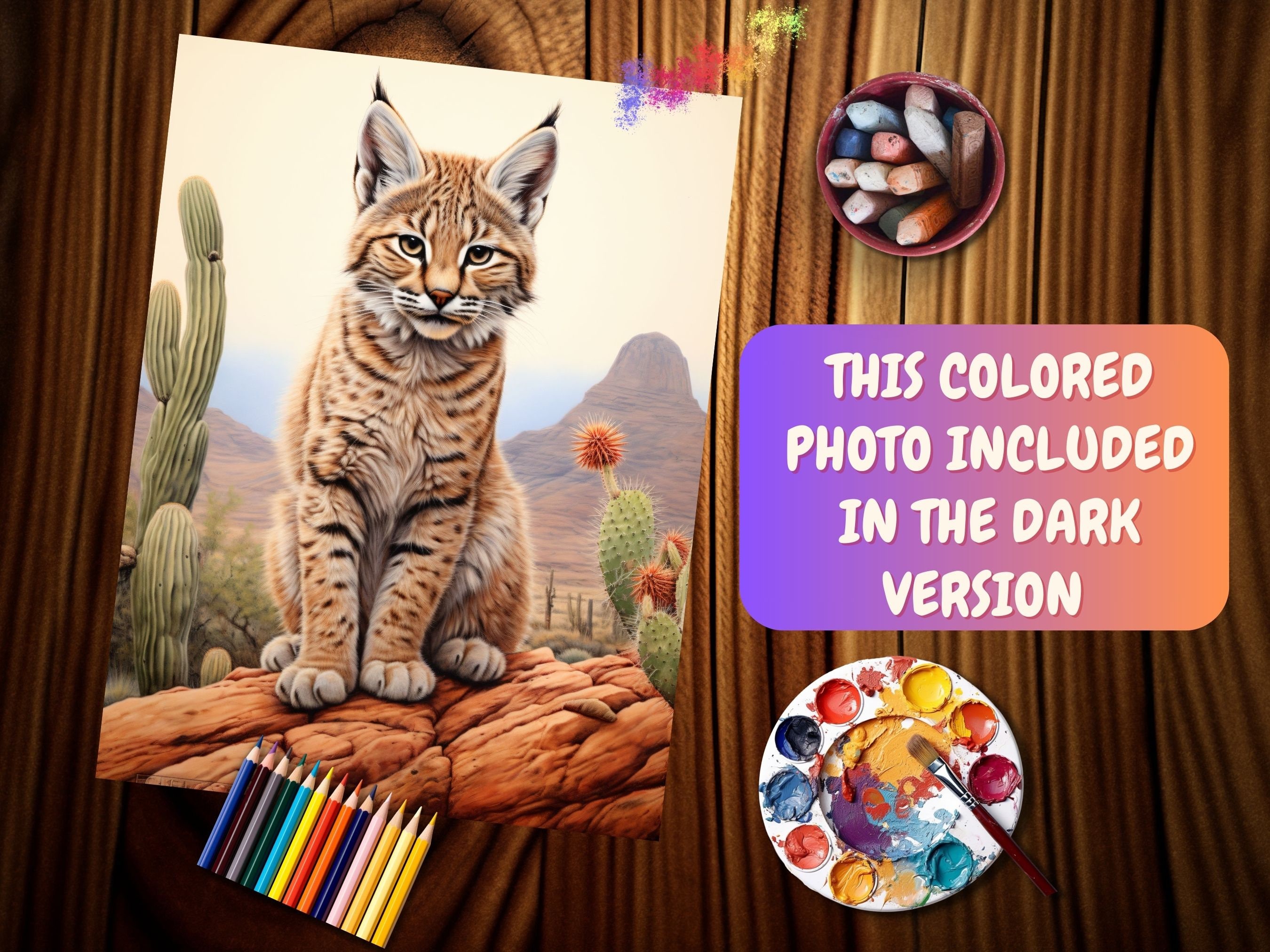 Desert Animals Coloring Pages Arizona Desert Animals Coloring Picture ...
