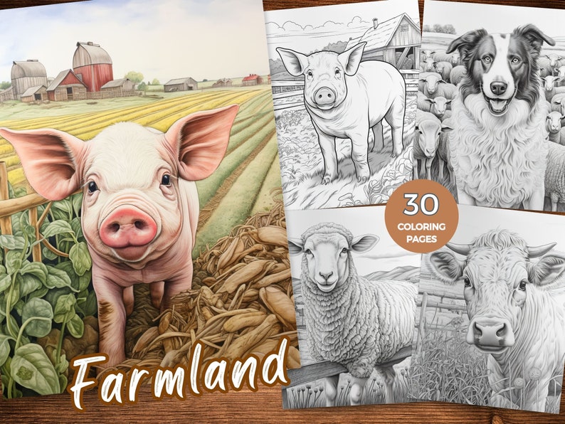 Farmland Coloring Pages Rural Life Coloring Book Agricultural Charm ...