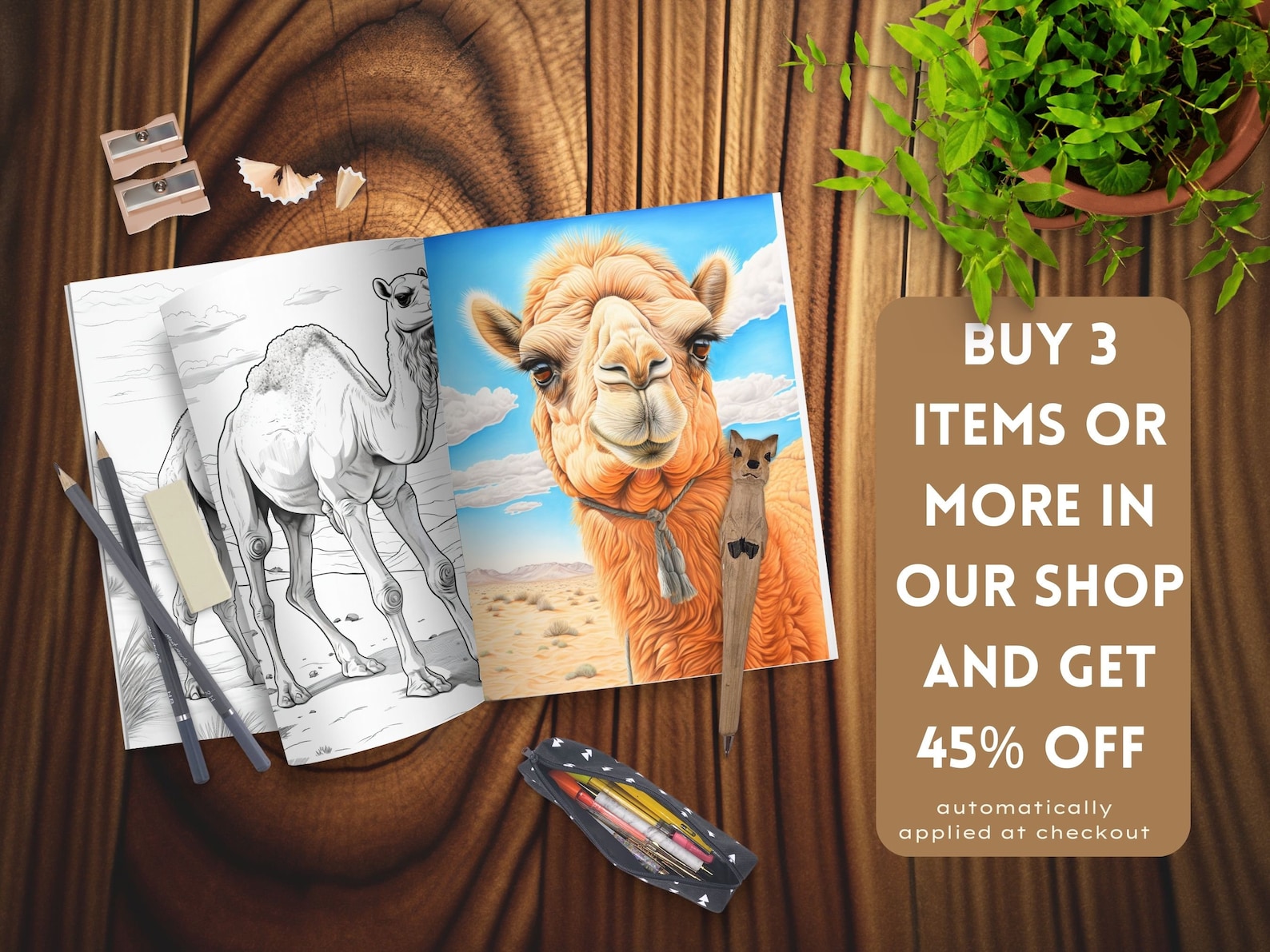 Desert Animals Coloring Pages Arizona Desert Animals Coloring Picture ...