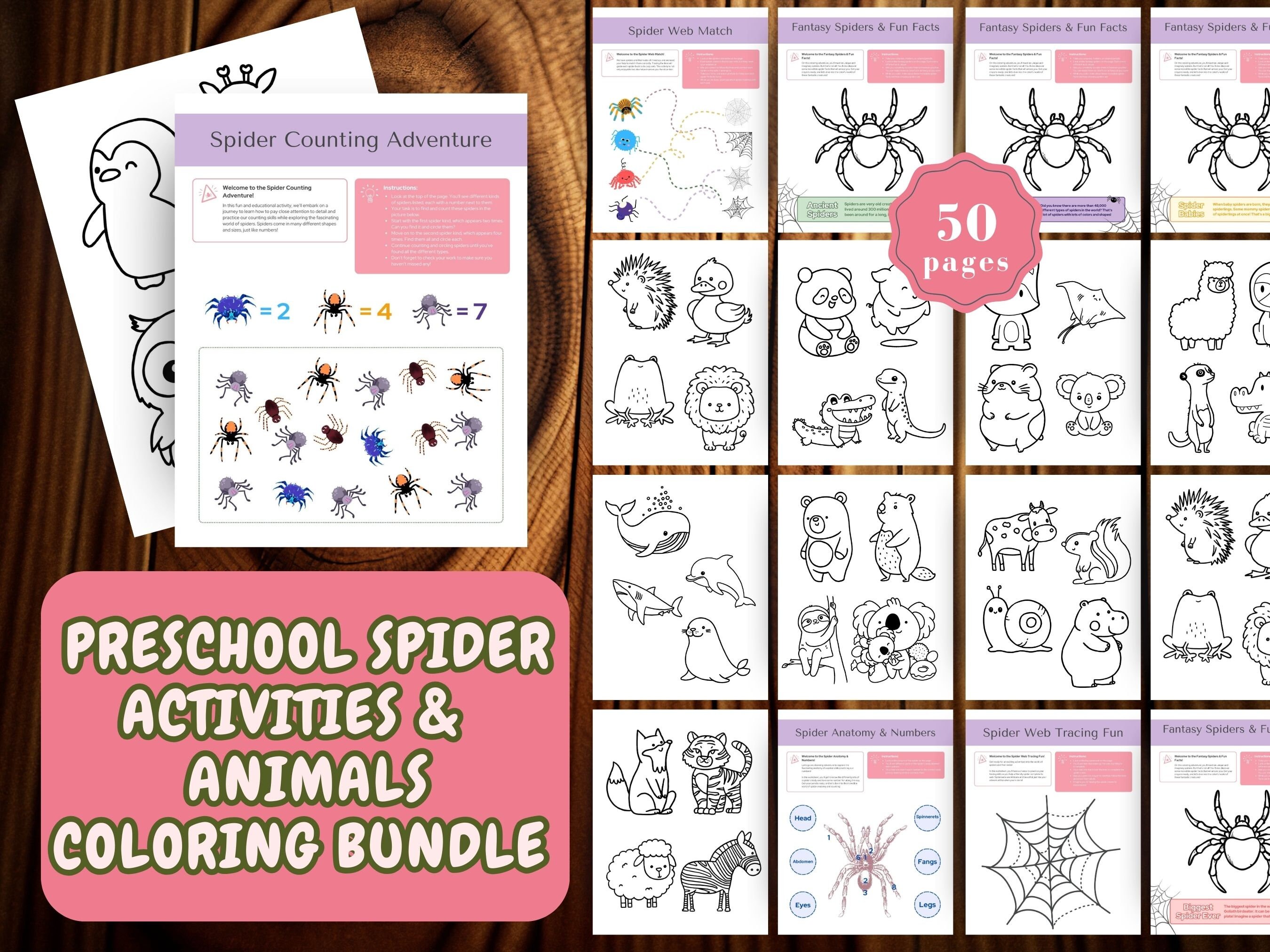 Printable Spider Activities for Preschoolers Animal Coloring Pages ...