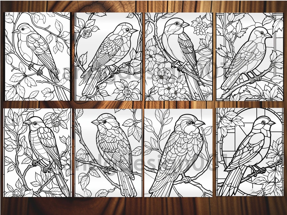 Stained Glass Birds Coloring Pages for Adults Printable - Etsy