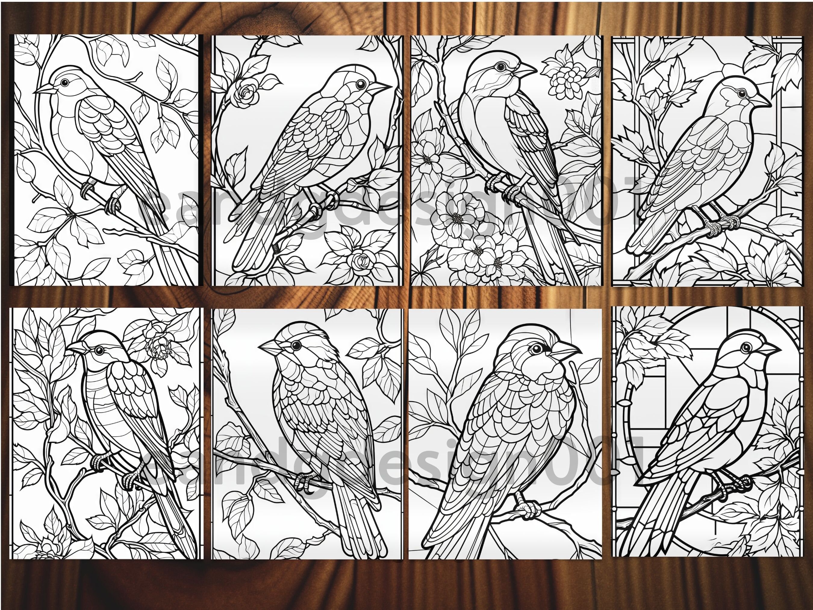 Stained Glass Birds Coloring Pages for Adults Printable - Etsy