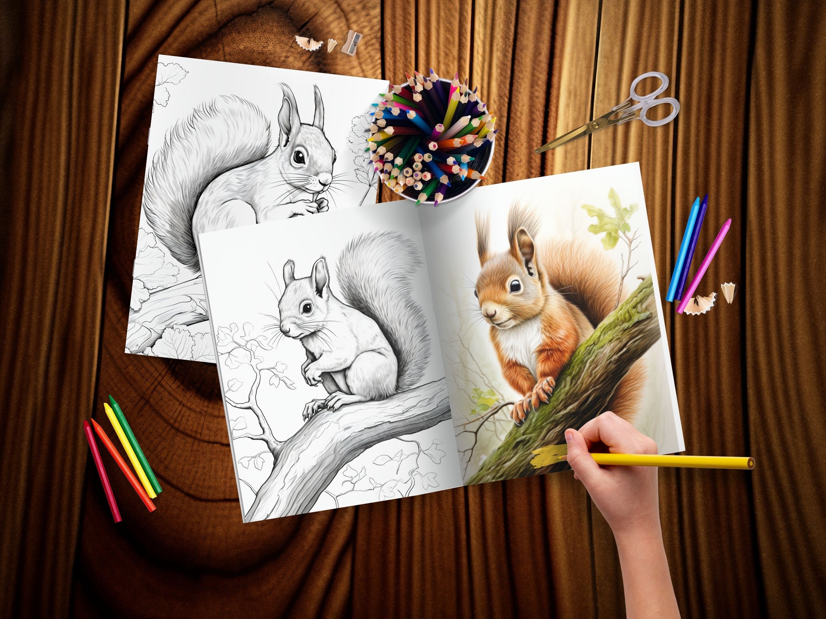 Squirrel Coloring Pages Printable Cute Squirrel Coloring Page Squirrel ...
