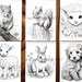 Cute Baby Animals Grayscale Coloring Pages | Printable Adult Coloring ...