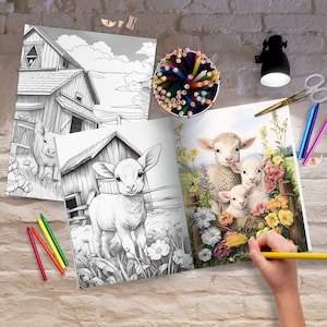 Spring Farm Life Coloring Pages for Adults Instant Download Spring Time ...