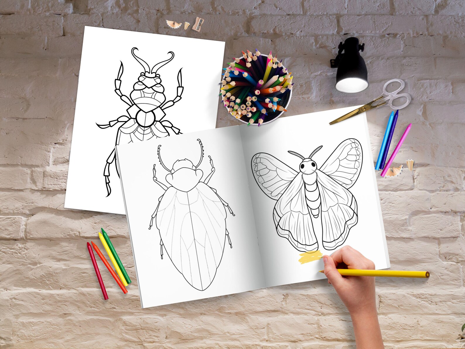 Insect and Bugs Coloring Sheets, Nature Coloring Pages, Insect Coloring ...