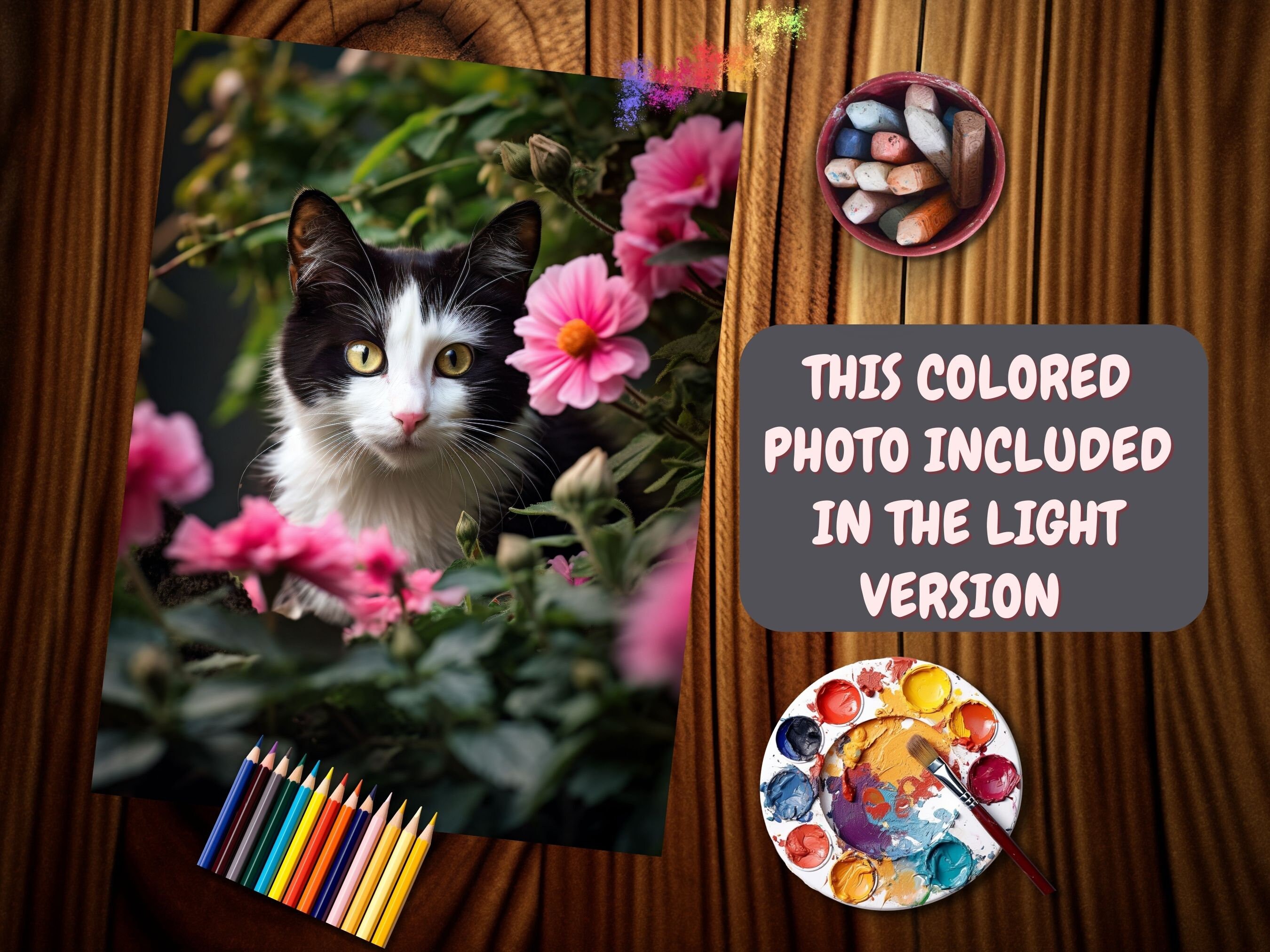 Bicolor Cats Coloring Book Adorable Feline Companions Coloring Pages ...