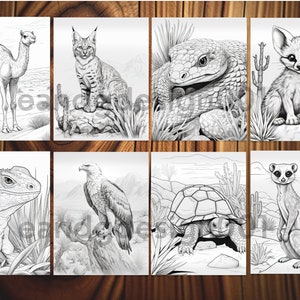 Desert Animals Coloring Pages Arizona Desert Animals Coloring Picture ...